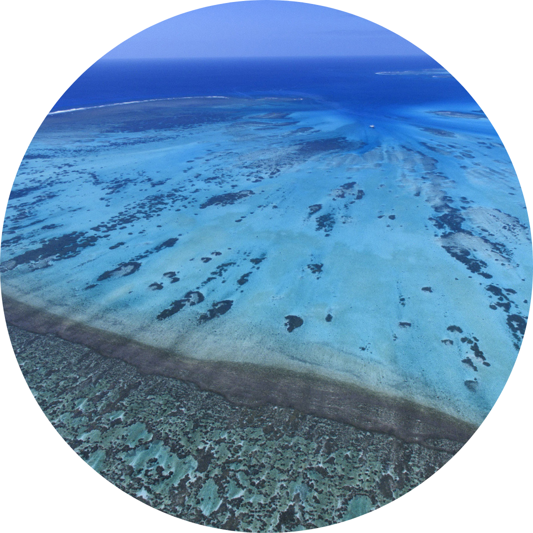 Explore the evidence: Commonwealth Marine Areas - Living Wonders